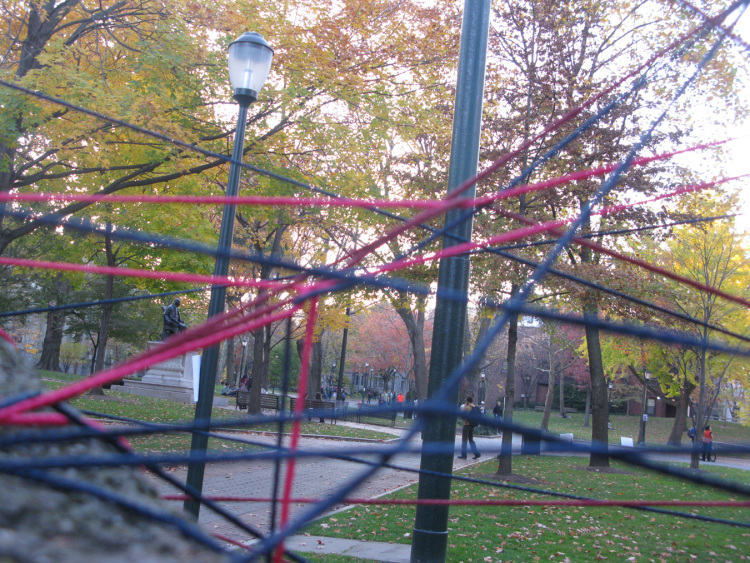 Arts Grant Winner Creates Stringy Situation – The Pennsylvania Gazette