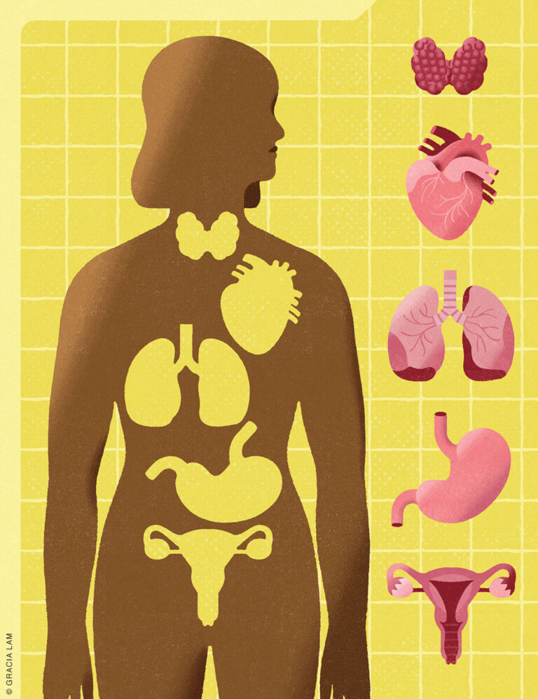 The New World of Organ Transplantation – The Pennsylvania Gazette